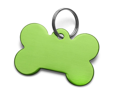 National Pet ID Week Celebrated April 16-22 | Pauley's Pups